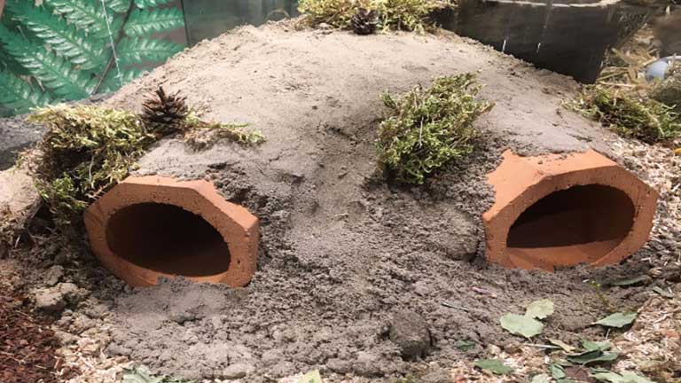 Kaninchenbau selber bauen - DIY-Anleitung